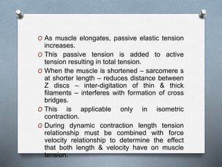 Muscle biomechanics | PPTX