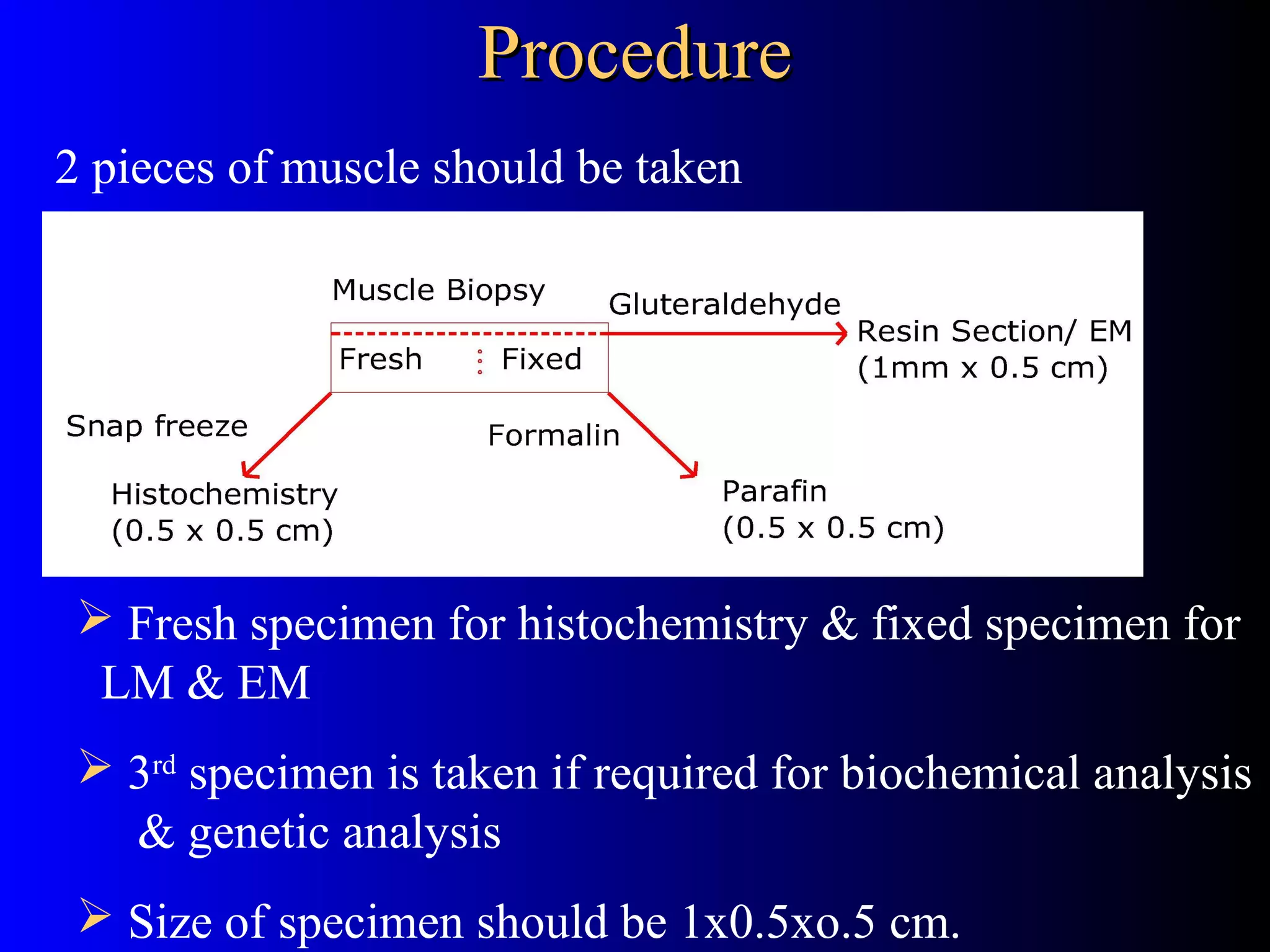 Muscle biopsy | PPT