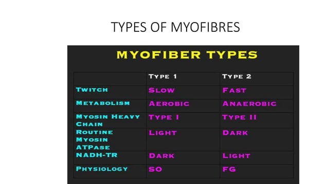 muscle biopsy (3).ppt, diagnosis, types, biopsy | PPT | Physical ...