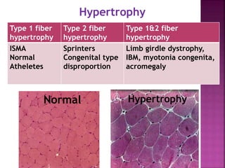 muscle biopsy site indications staining processing of muscle biopsy.pptx