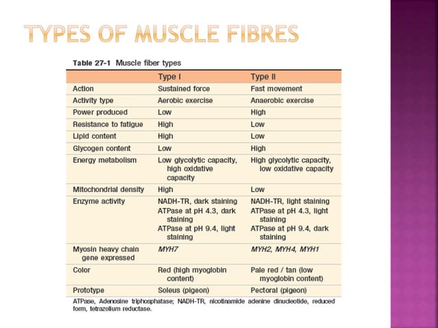 muscle biopsy site indications staining processing of muscle biopsy.pptx