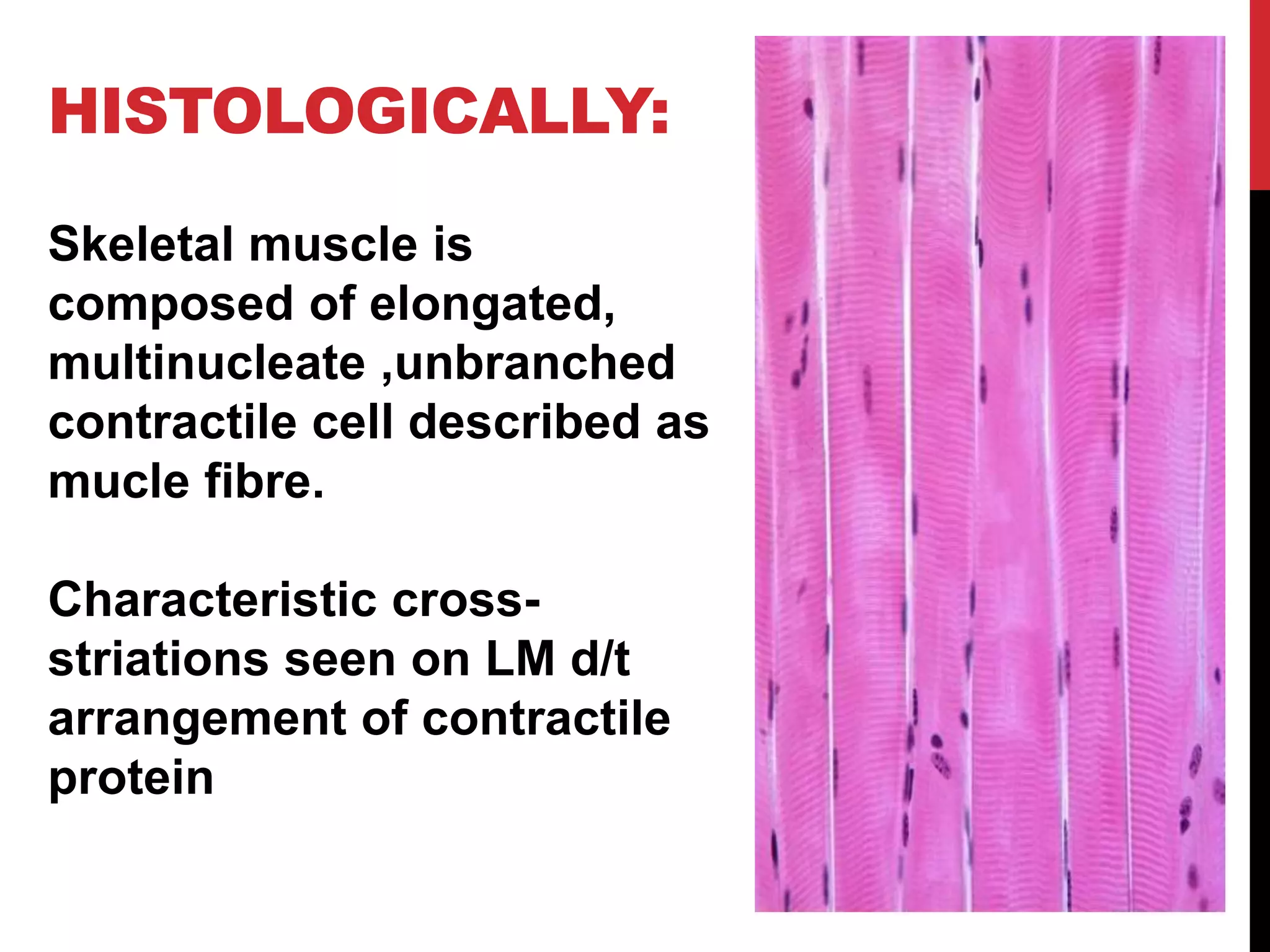 Muscle biopsy –INDICATIONS, processing and morphology.pptx