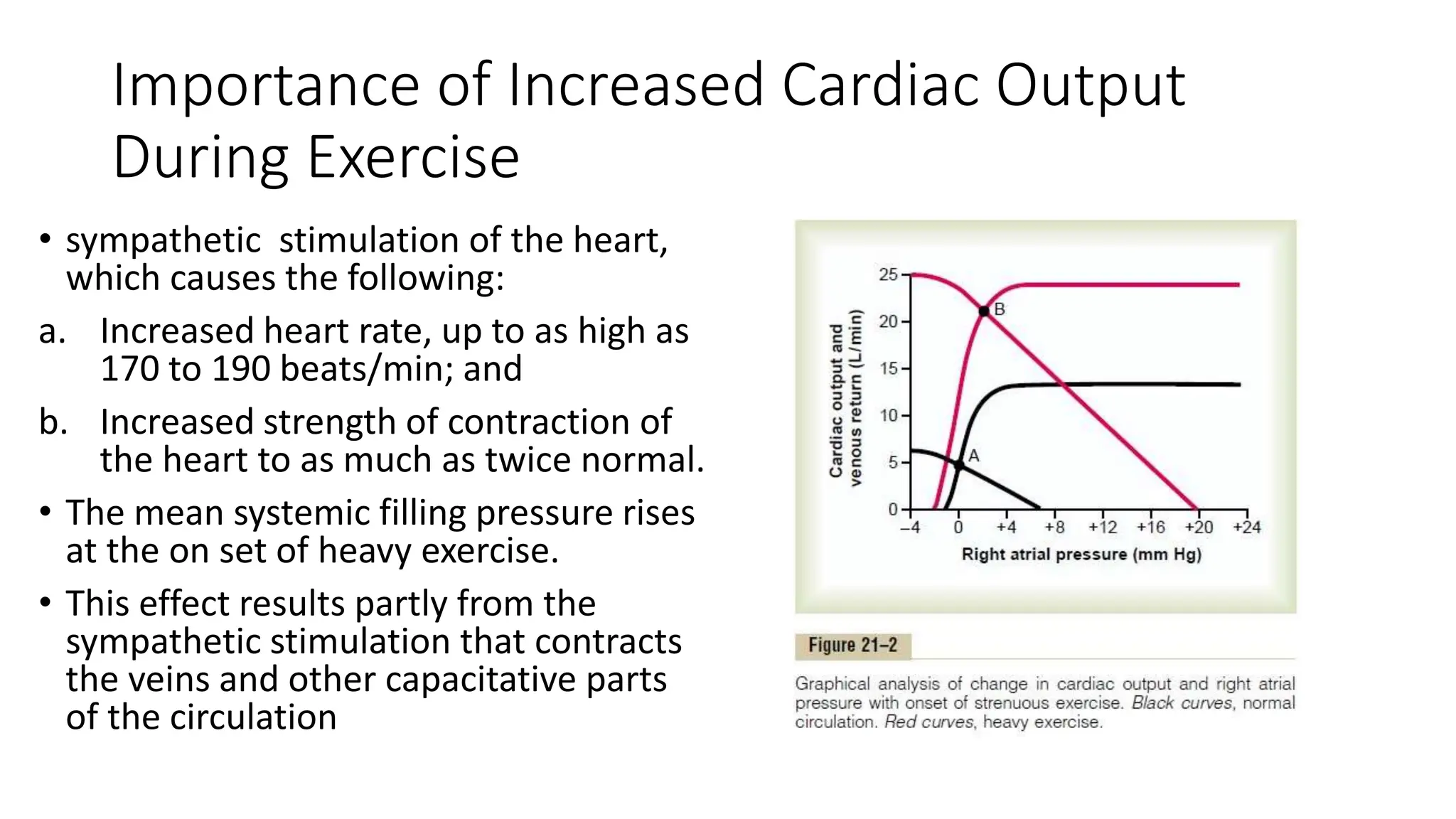 Muscle Blood Flow and Cardiac Output During Exercise.pptx