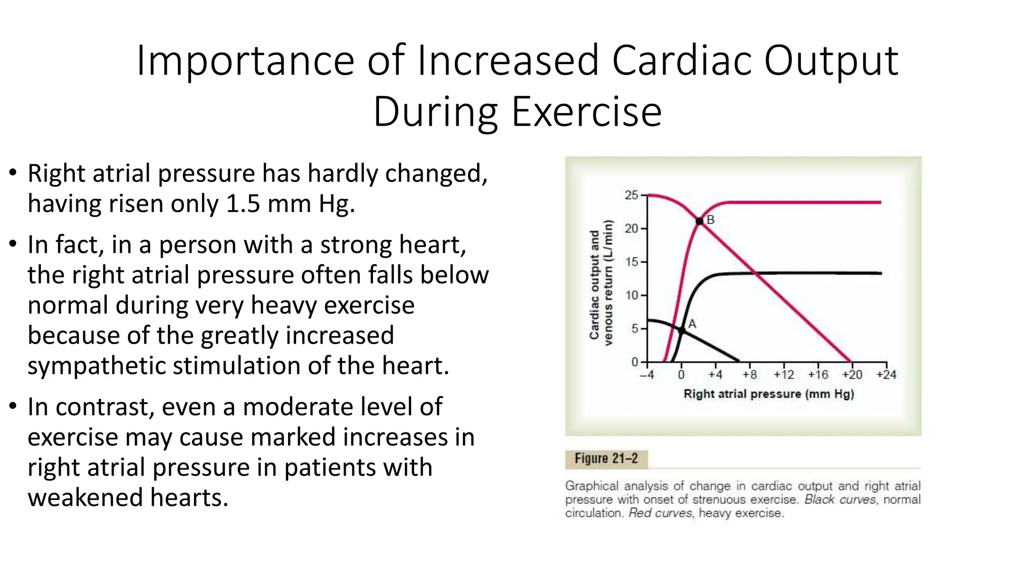 Muscle Blood Flow and Cardiac Output During Exercise.pptx