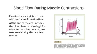 Muscle Blood Flow and Cardiac Output During Exercise.pptx