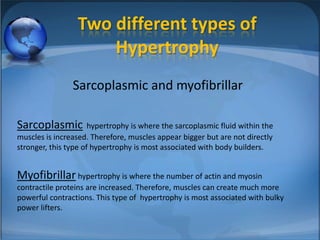 Muscle building | PPTX | Bodybuilding | Sports