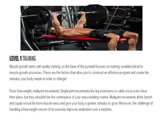 THE PYRAMID OF MUSCLE BUILDING | PPT