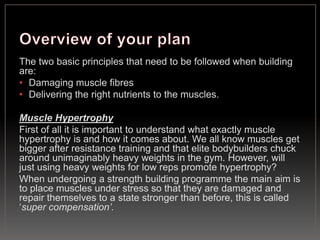 Muscle building sample workout | PPTX | Fitness and Exercise | Healthy ...
