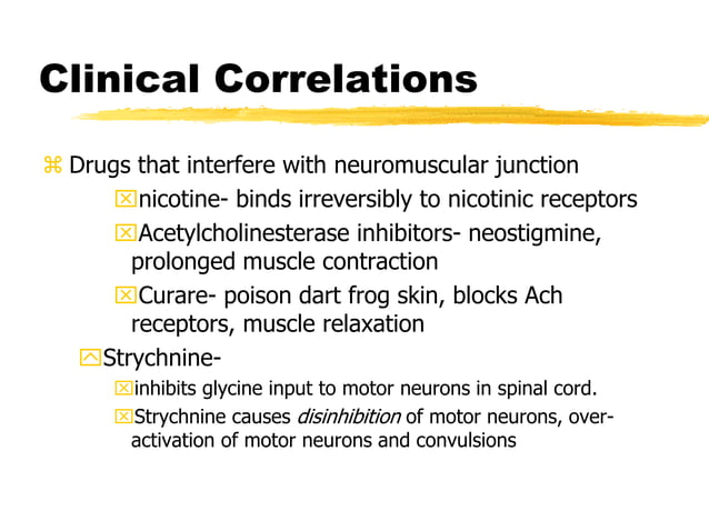 muscle cell physiology .ppt