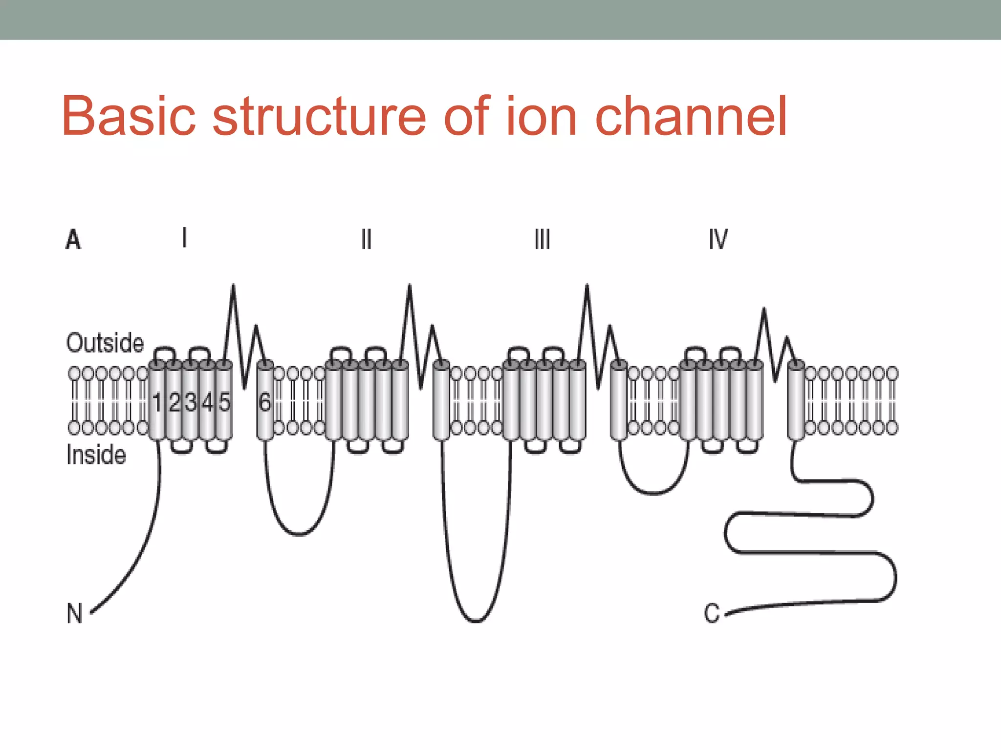 Muscle channelopathies | PPT