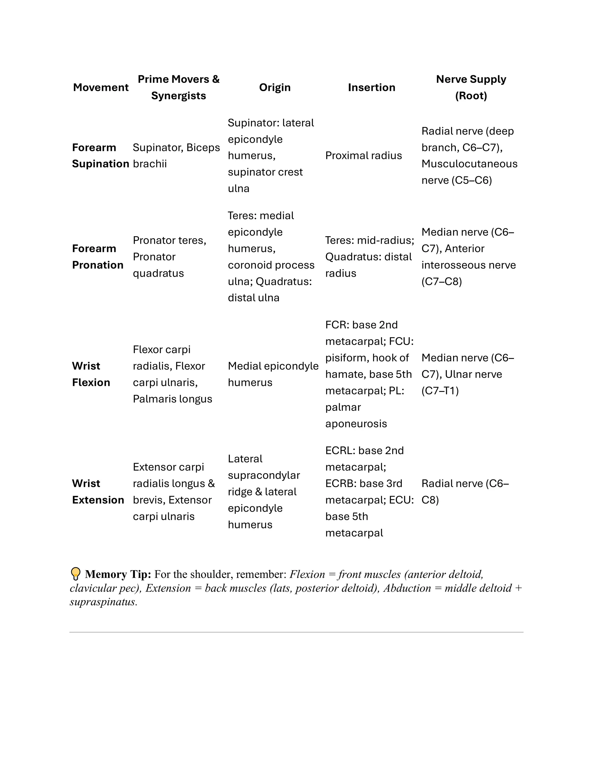 All Muscles present in the human body ( Quick revision) | PDF