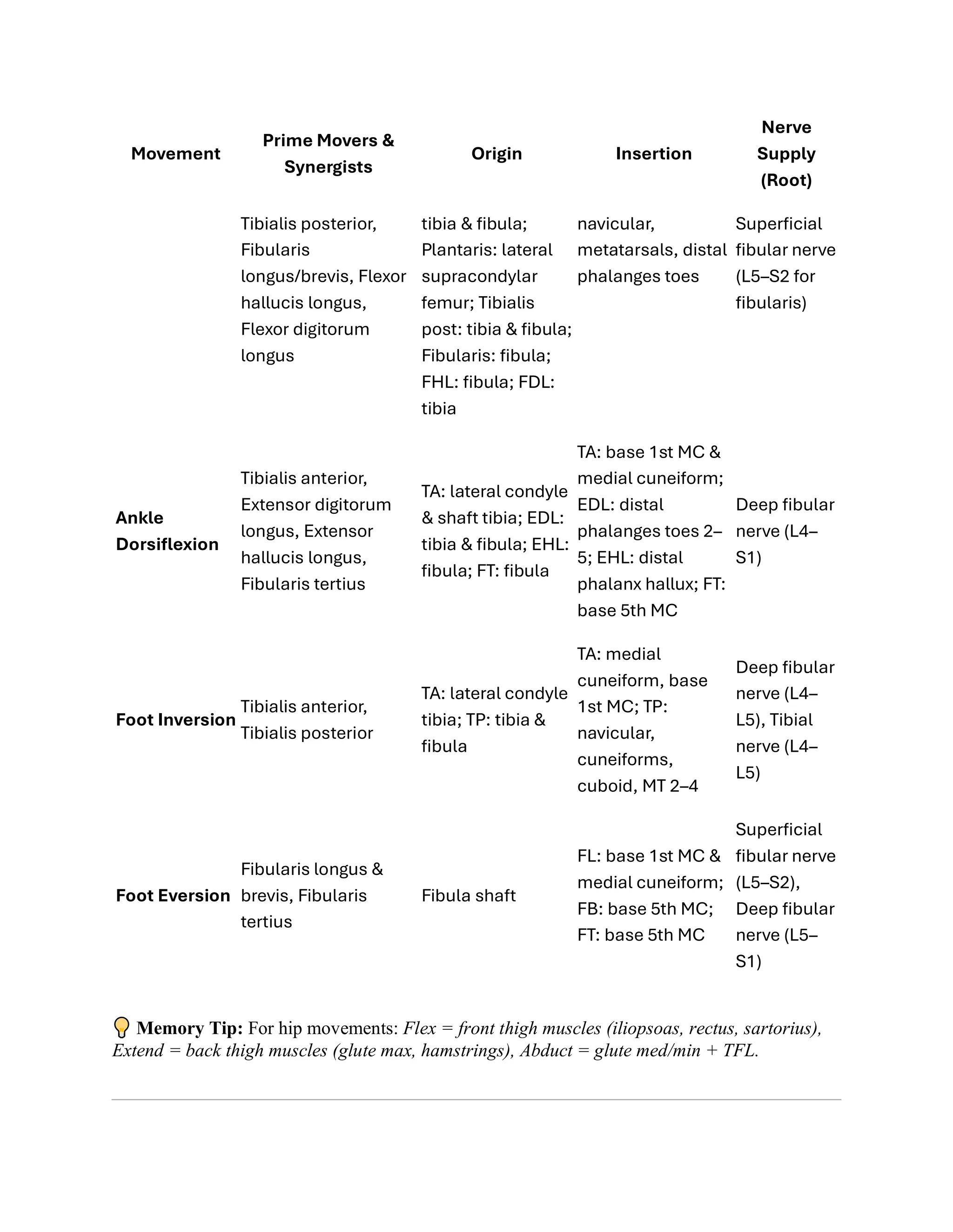 All Muscles present in the human body ( Quick revision) | PDF