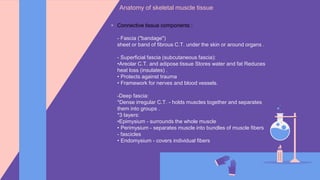 muscle components , biochem (1).pptx