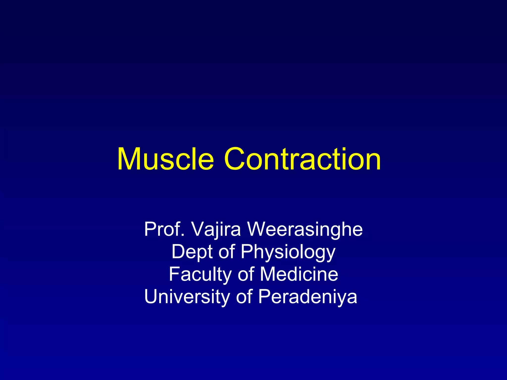 Muscle contraction | PPT