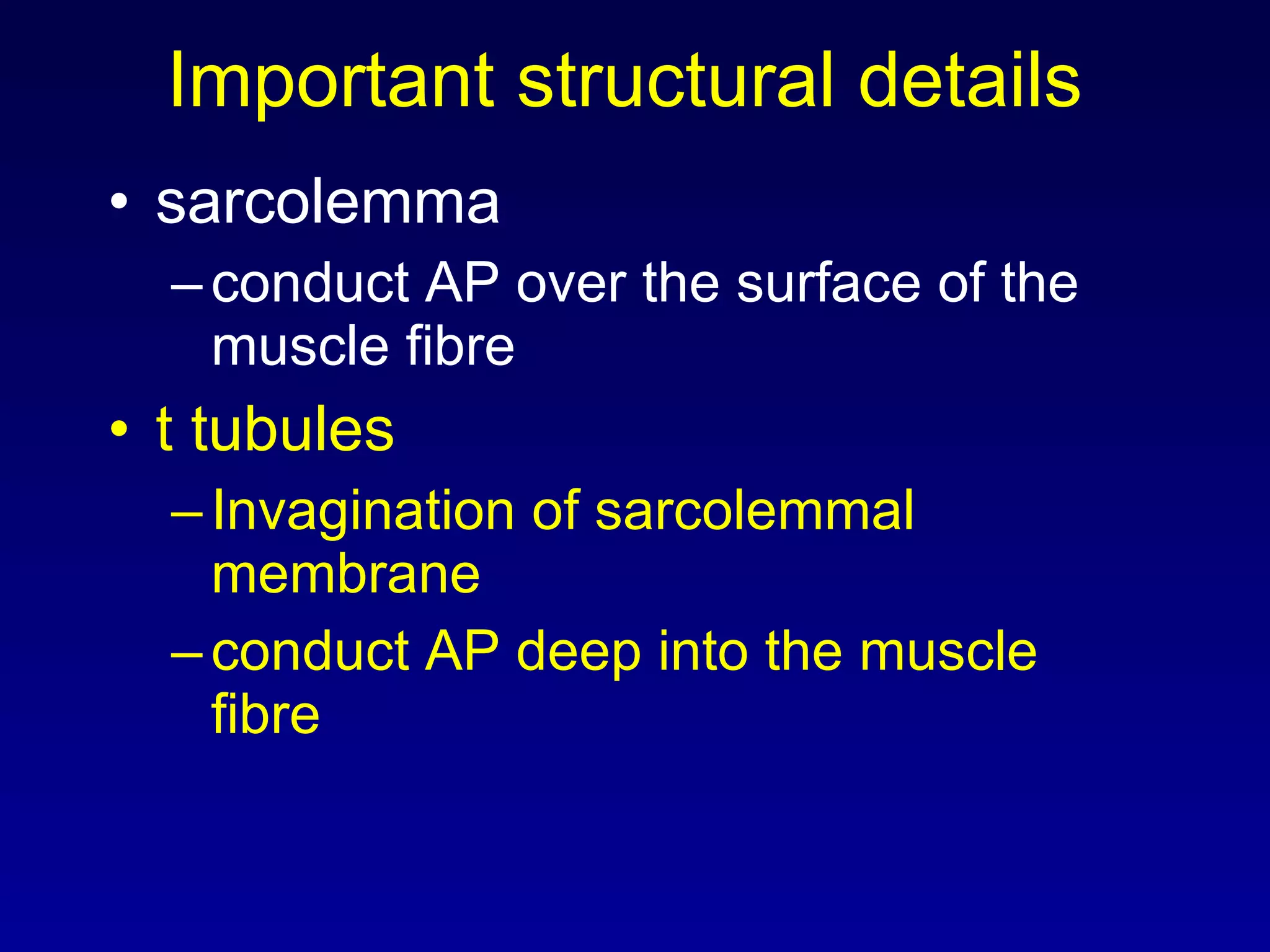 Muscle contraction | PPT