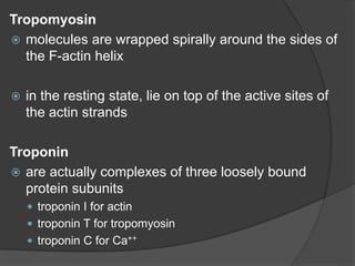 Muscle contraction | PDF
