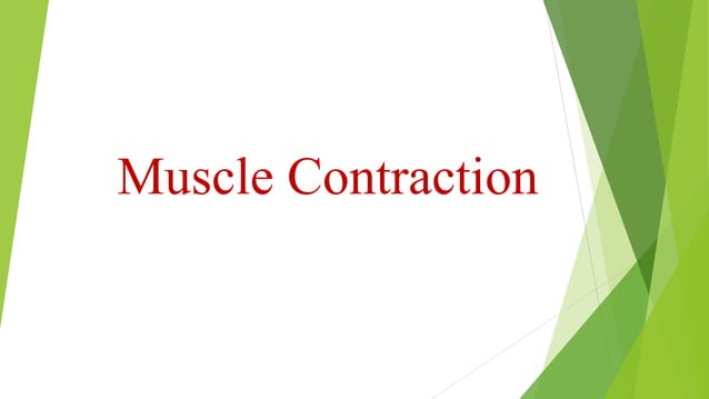 Muscle contraction with medecine | PPTX | Biological Sciences | Science