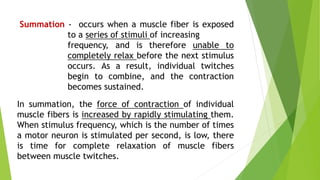 Muscle contraction with medecine | PPTX | Biological Sciences | Science