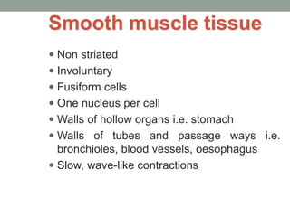 Muscle contraction | PPTX