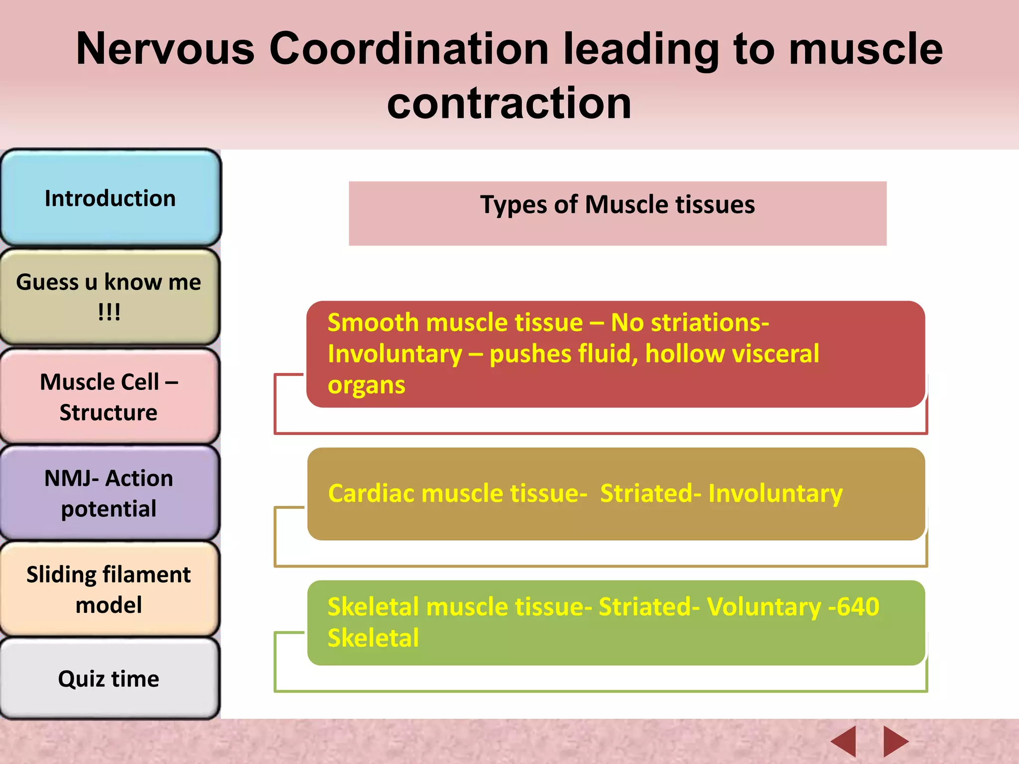 Muscle contraction | PPTX