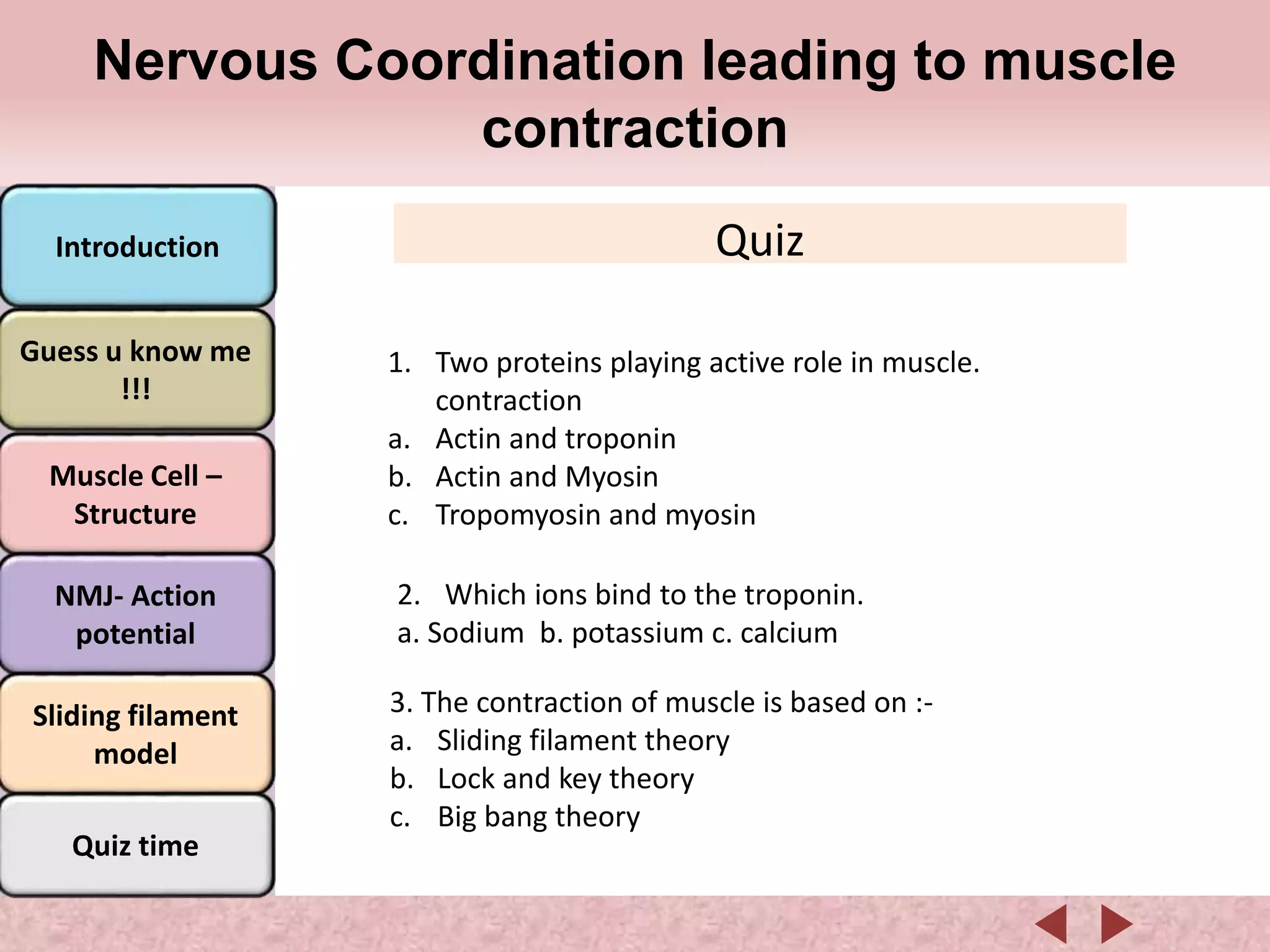 Muscle contraction | PPTX