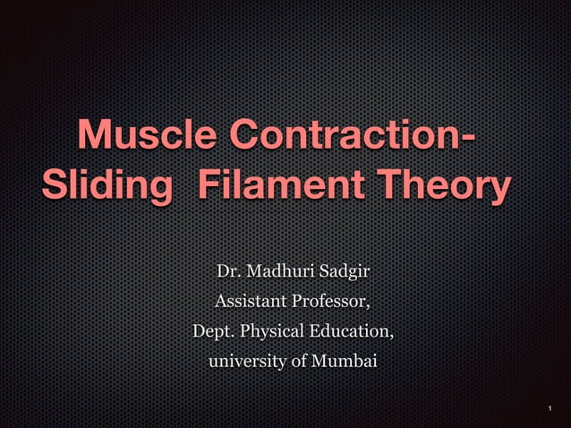 Exercise Physiology Muscle contraction Phases | PPT