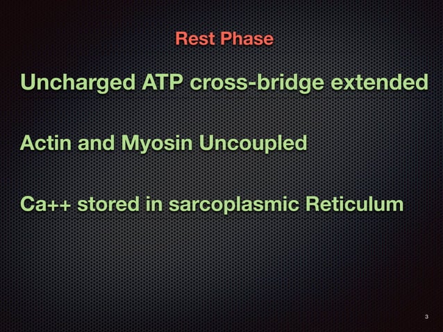 Exercise Physiology Muscle contraction Phases | PPT