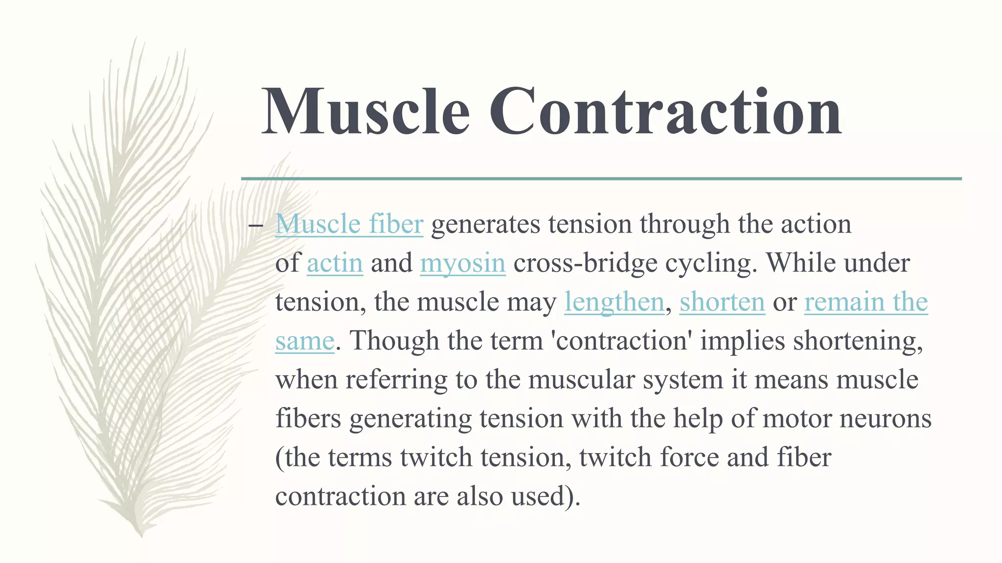 Muscle Contraction | PPTX
