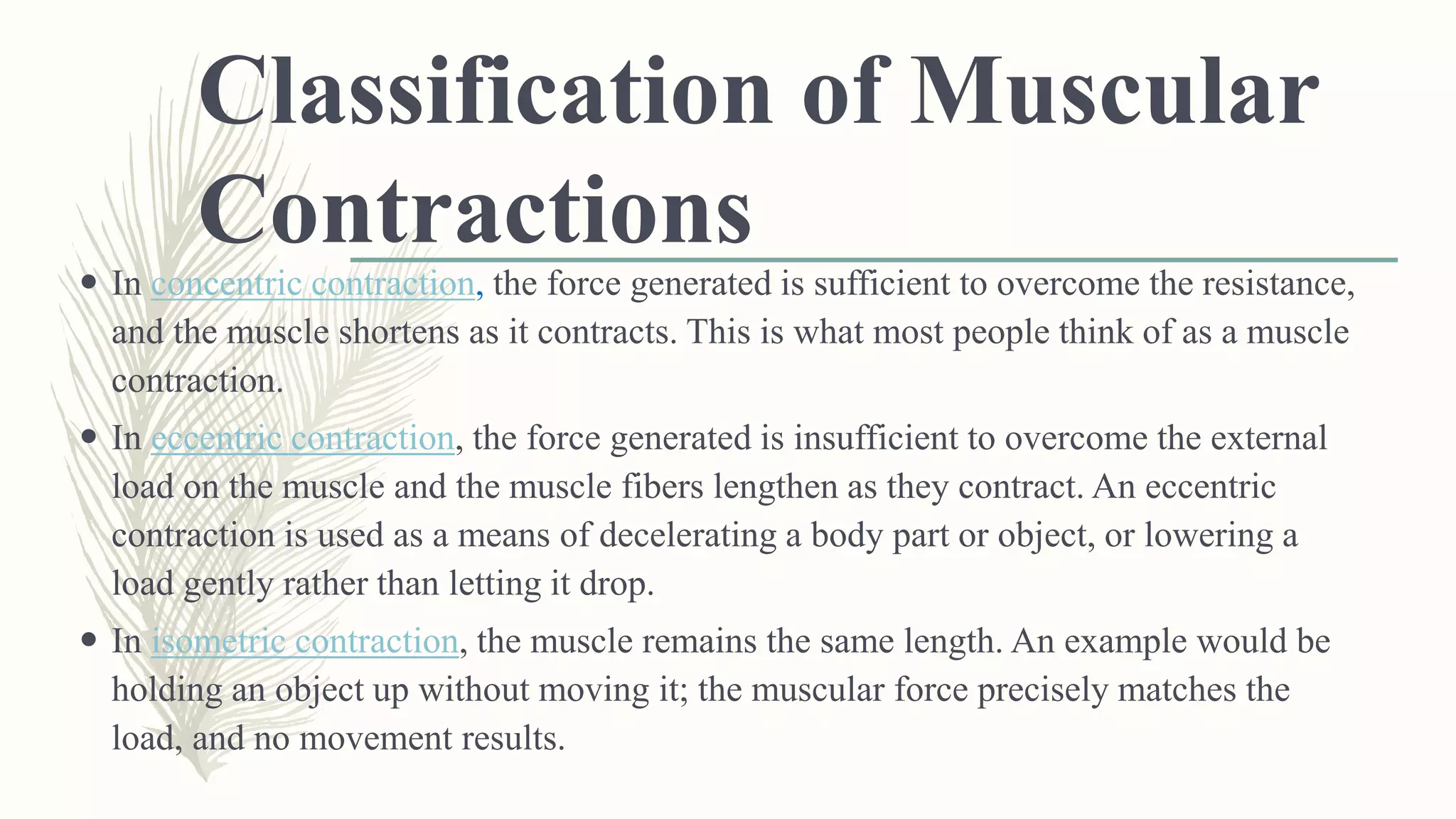 Muscle Contraction | PPT