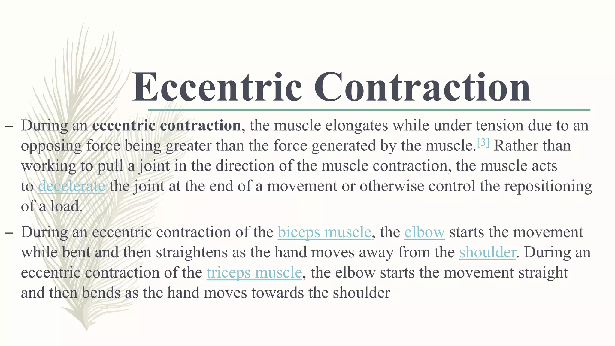 Muscle Contraction | PPTX