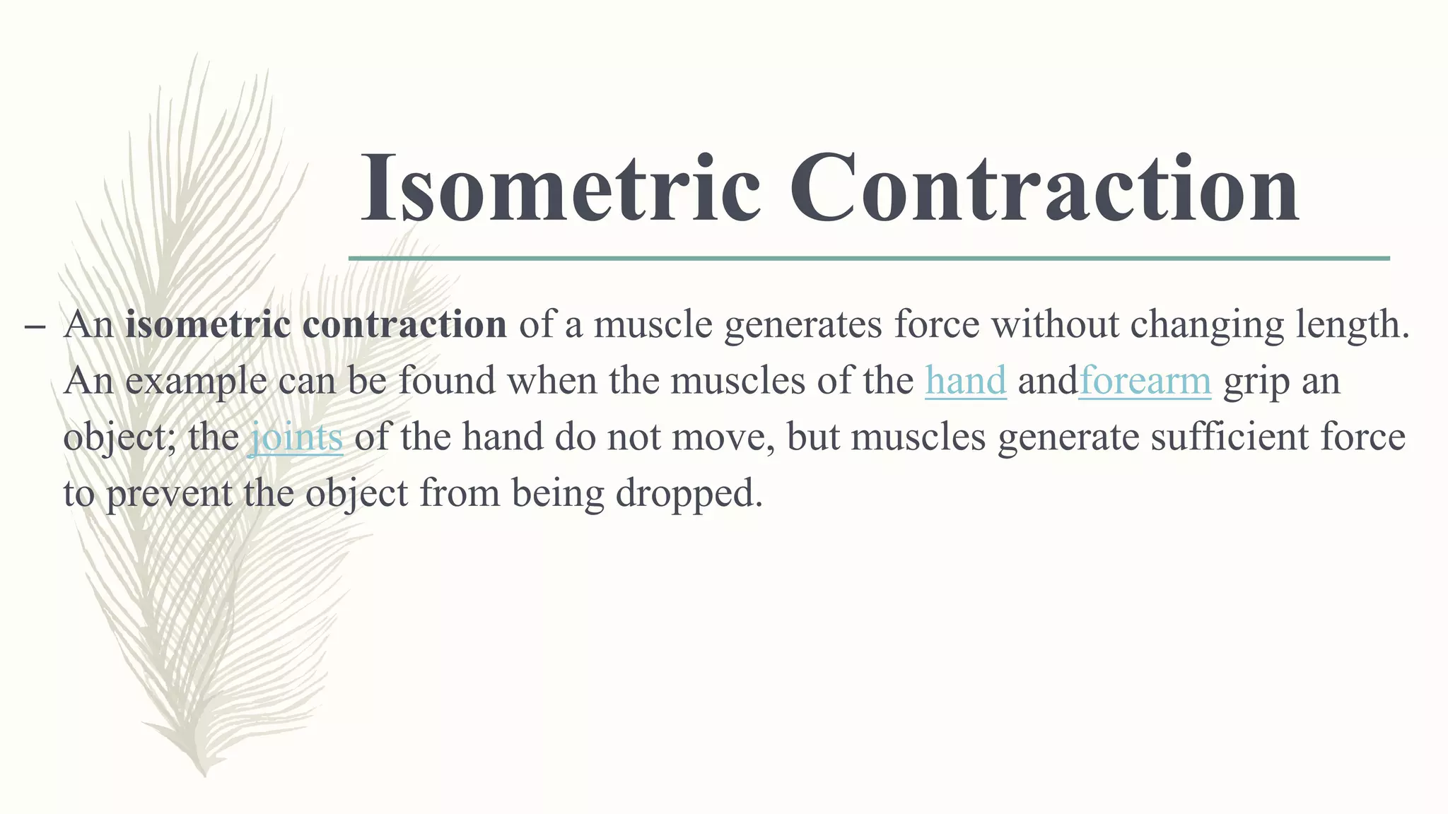 Muscle Contraction | PPTX