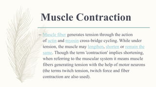 Muscle Contraction | PPTX