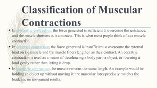 Muscle Contraction | PPTX