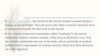 Muscle Contraction | PPTX