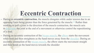Muscle Contraction | PPTX