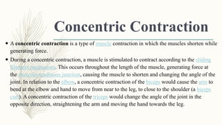 Muscle Contraction | PPTX