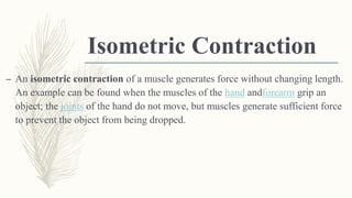 Muscle Contraction | PPTX