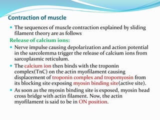 Muscle contraction | PPTX