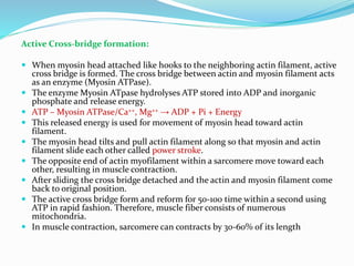 Muscle contraction | PPTX