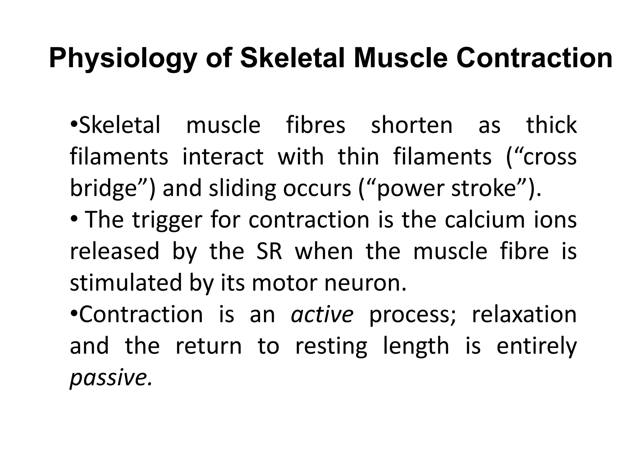 muscle contraction.pptx