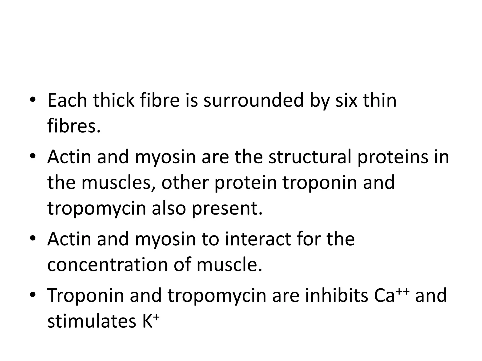 muscle contraction.pptx