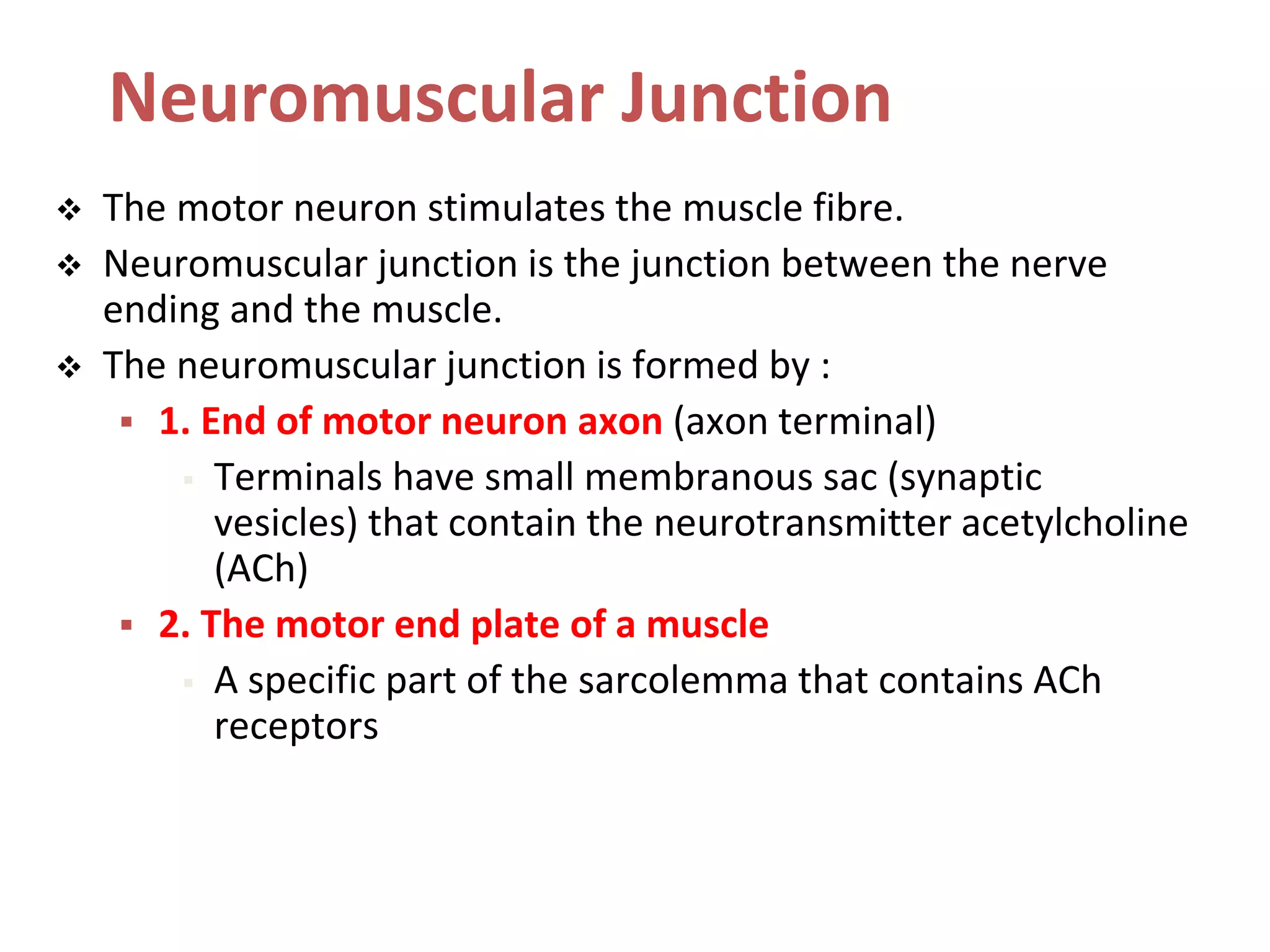 muscle contraction.pptx