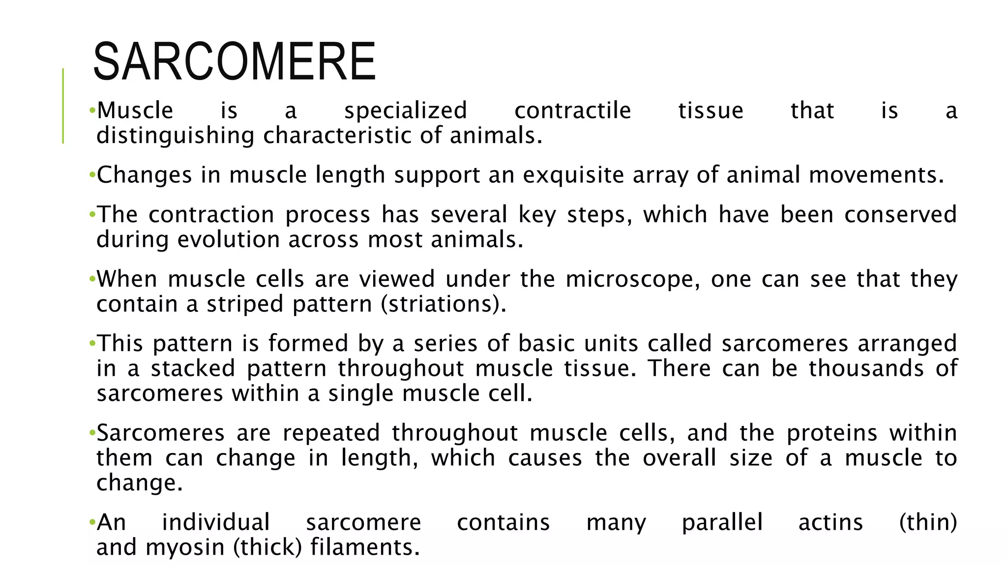 Muscle contraction.pptx