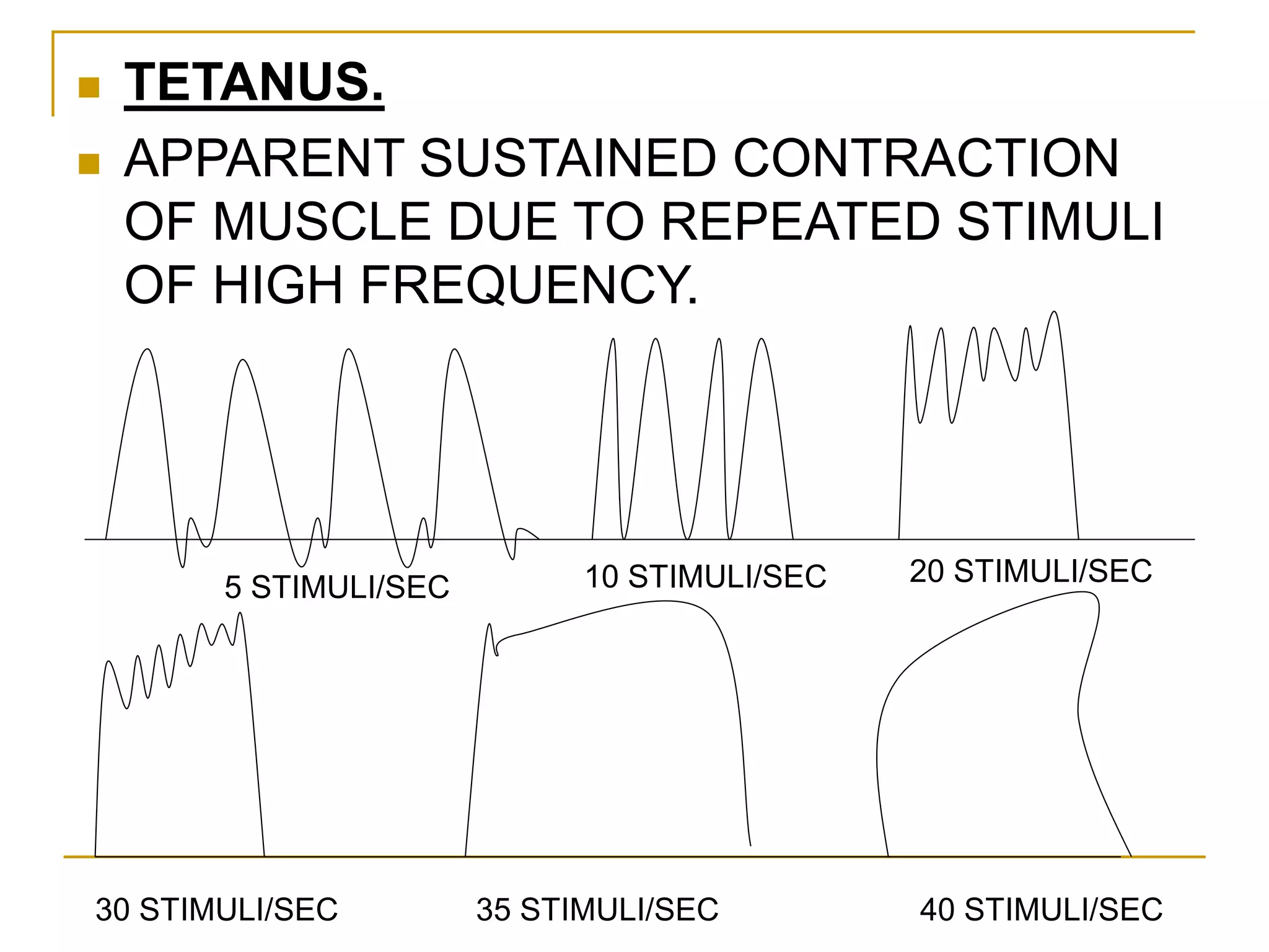 MUSCLE CONTRACTION.ppt