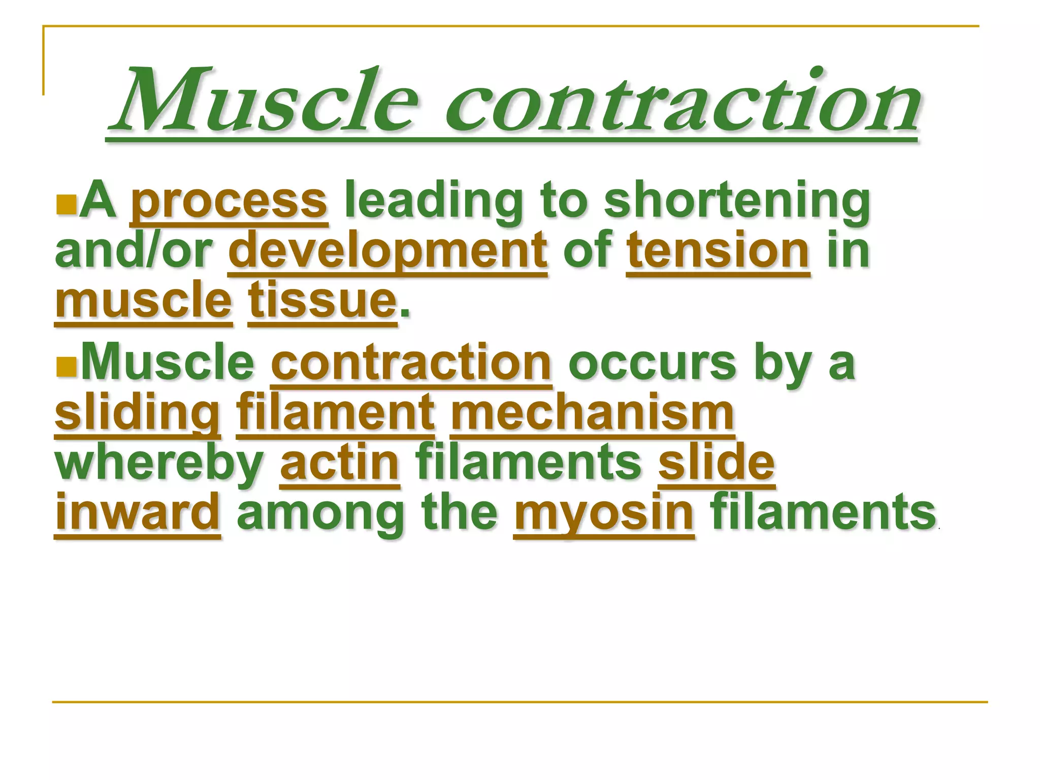 MUSCLE CONTRACTION.ppt