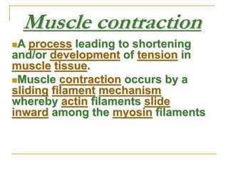 MUSCLE CONTRACTION.ppt