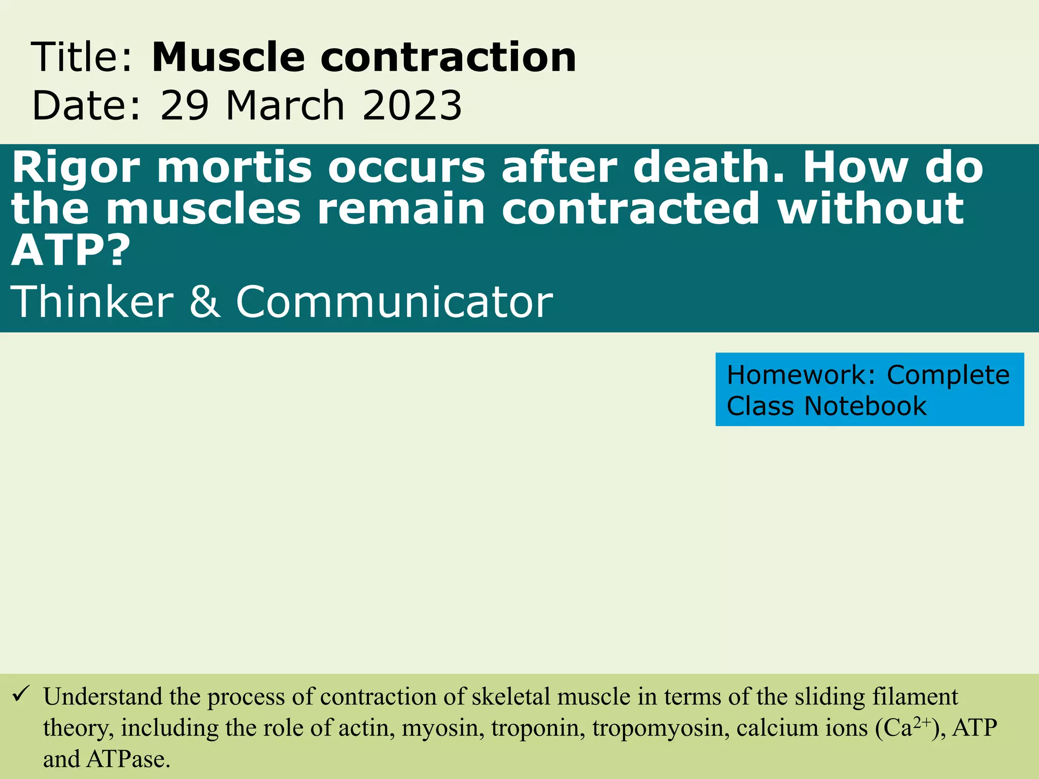 Muscle contraction.pptx