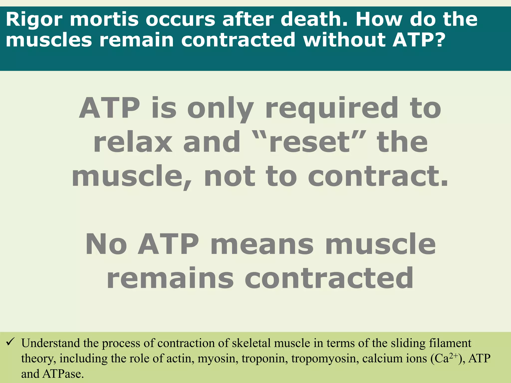 Muscle contraction.pptx