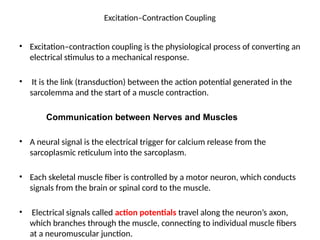 Muscle contraction easily explained..human physiology | PPTX