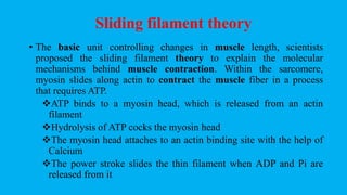Muscle Contraction and Movement_Enzymes.ppt